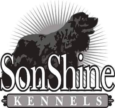 Pet Grooming & Boarding | SONSHINE KENNELS | Kindersley, SK